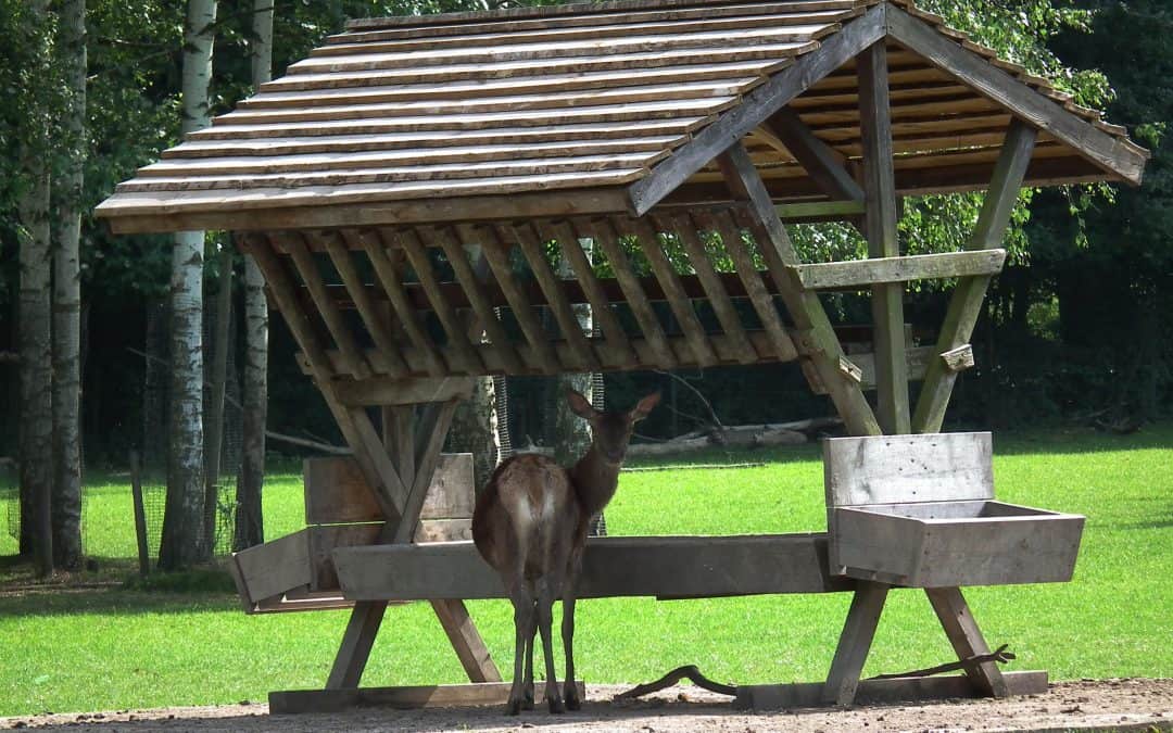 Der Wildpark Rheingönheim in Ludwigshafen am Rhein - Ludwigshafen ...