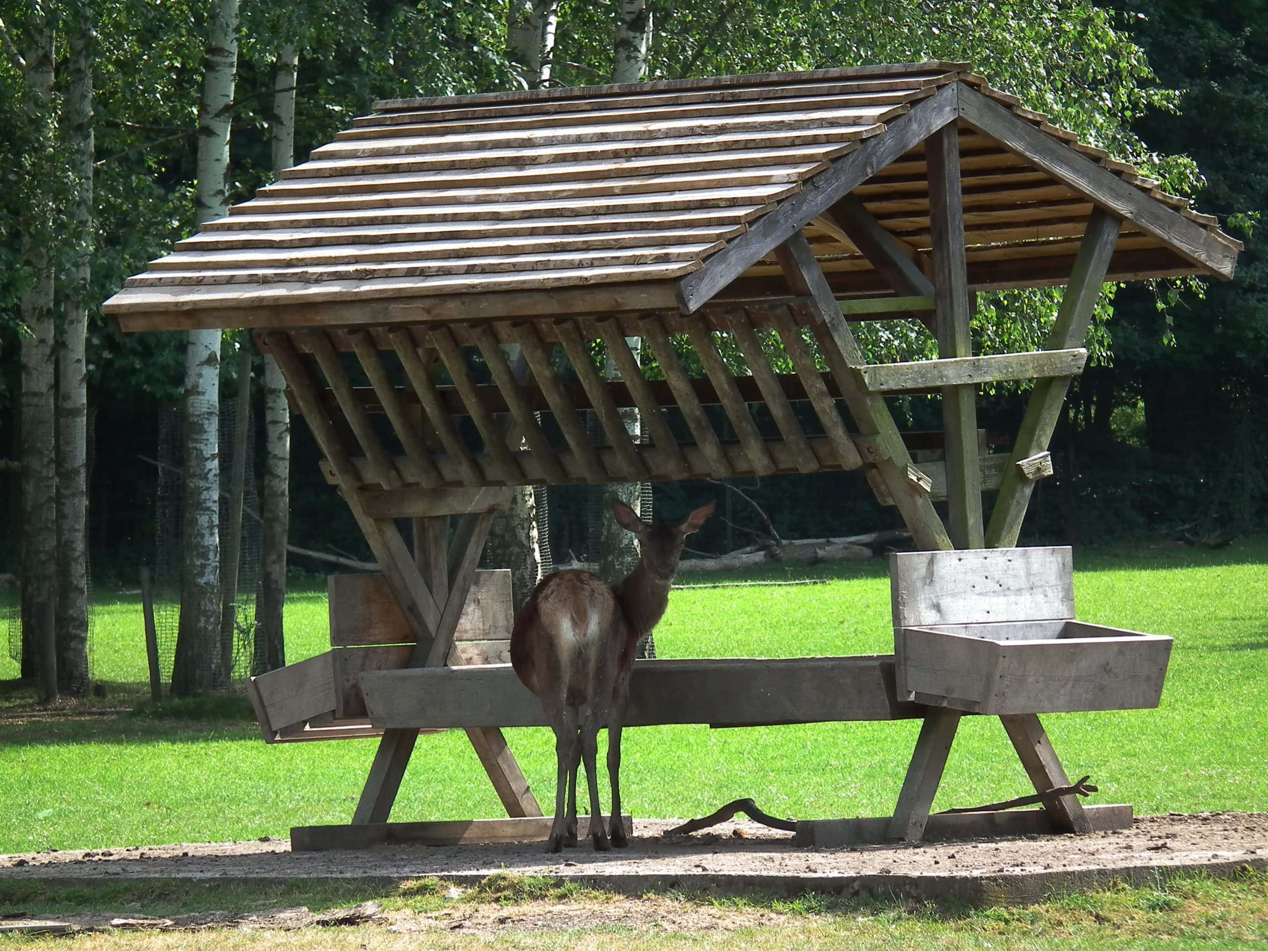 Der Wildpark Rheingönheim in Ludwigshafen am Rhein - Ludwigshafen ...